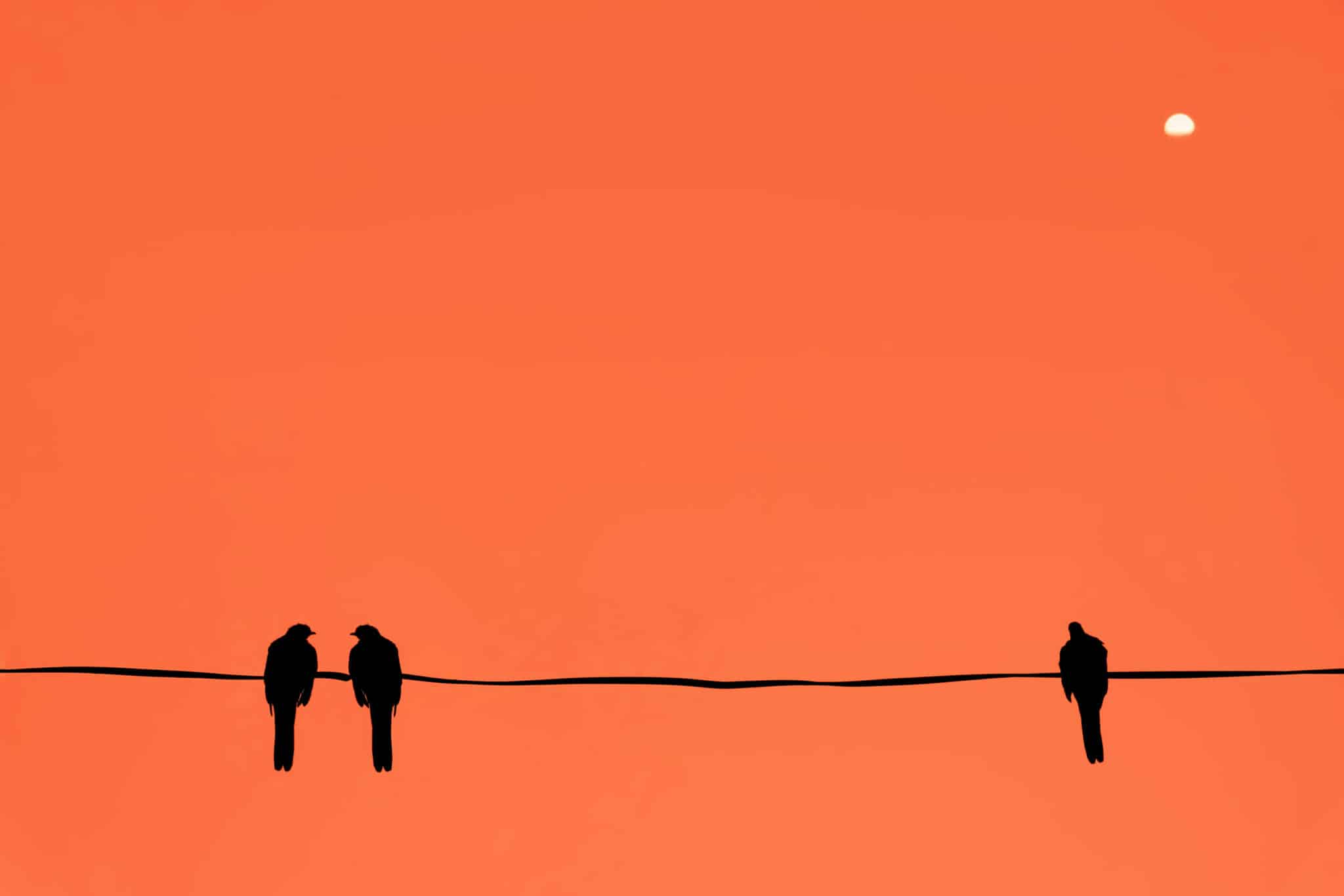 Getting to Enough: Lessons from Leah in the Bible