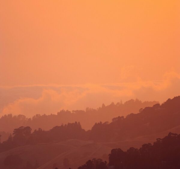 Rising Above Religion: A Review of Richard Rohr’s 'The Universal Christ'