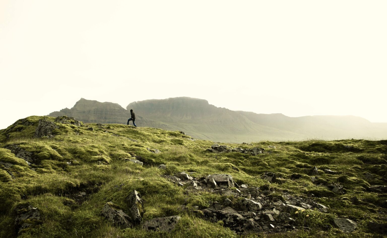 Who Was Caleb in the Bible? Spy, Soldier, and Settler