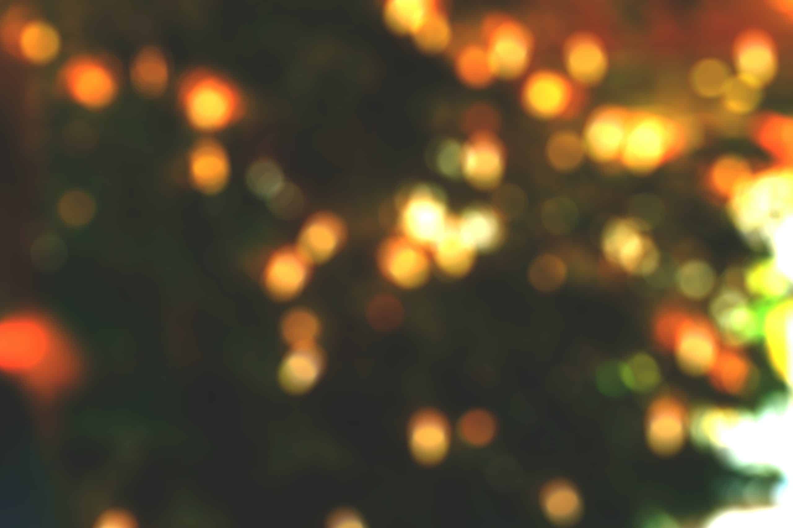 5 Reasons for Joy at Christmas - Renew