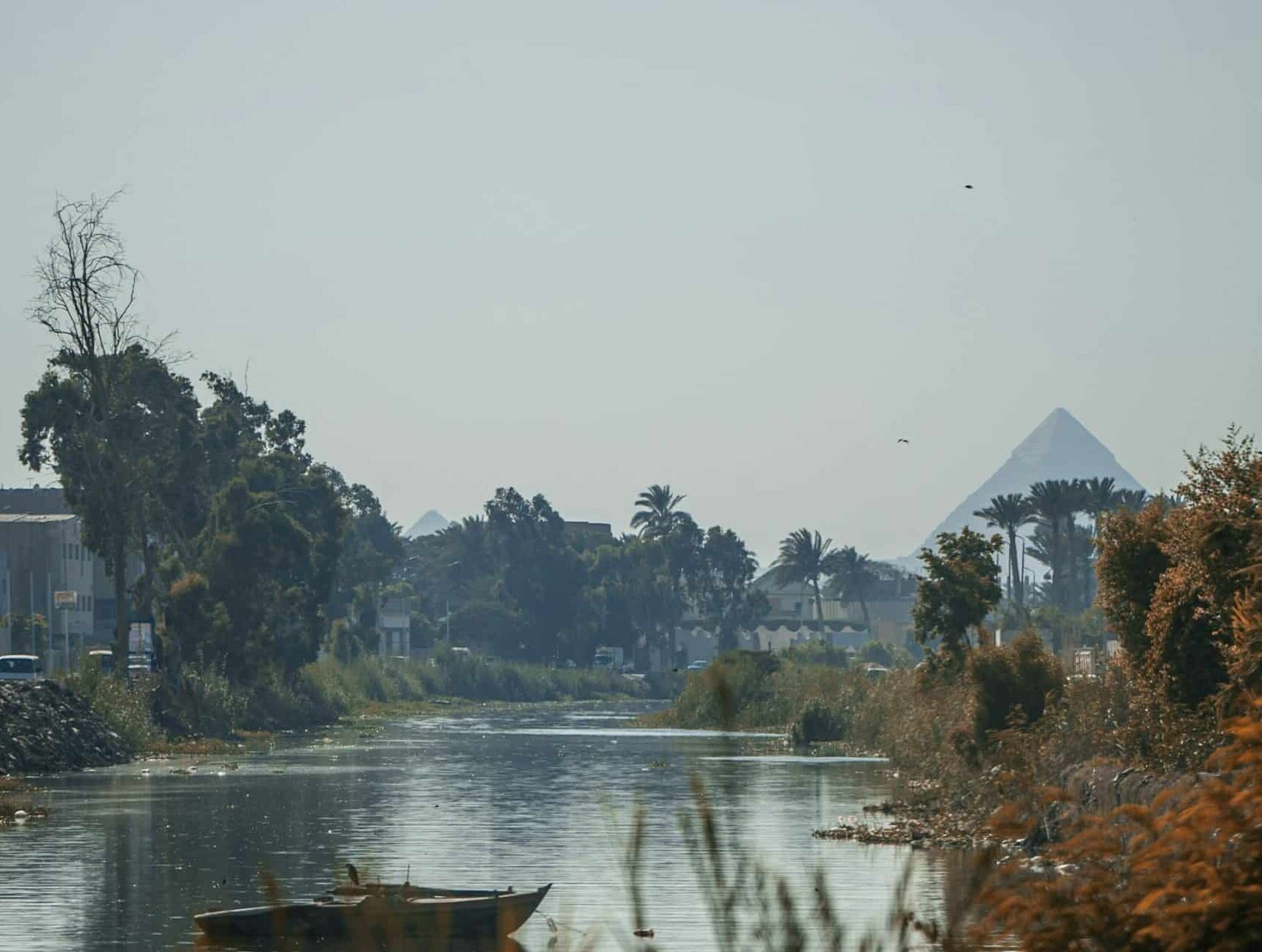 What We Learn from Two Hebrew Midwives