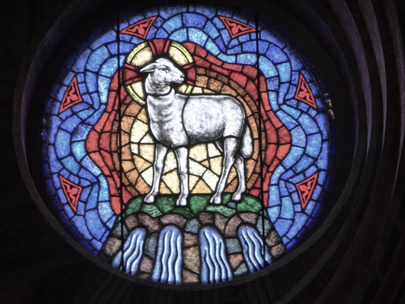 5 Offerings in the Old Testament Law