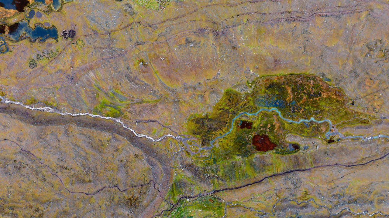 Welcome to Renew.org