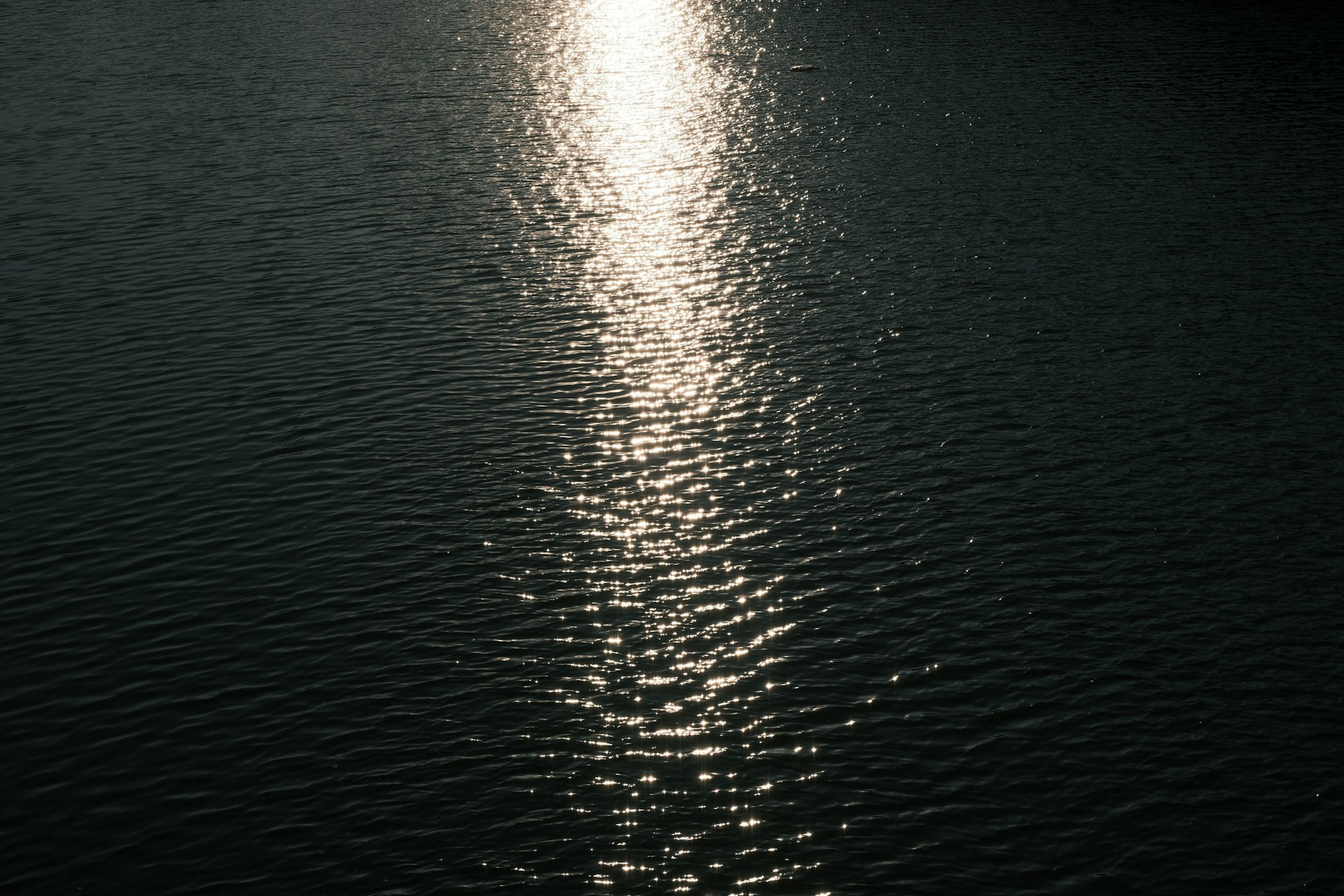 Bible Verses About Peace in the New Testament