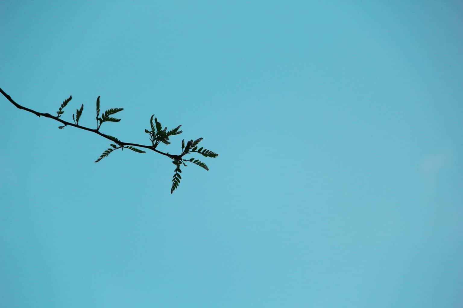 Is Your Disciple Making Simple, Effective, and Reproducible?